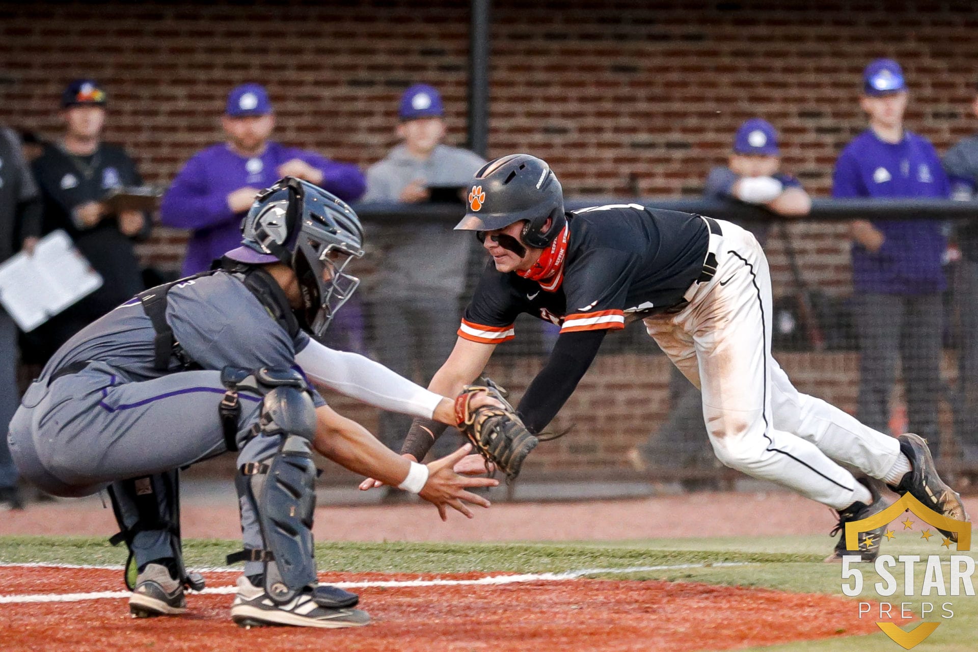 5STAR PHOTOS: Sevier County at Powell baseball (Thursday, April 22 ...