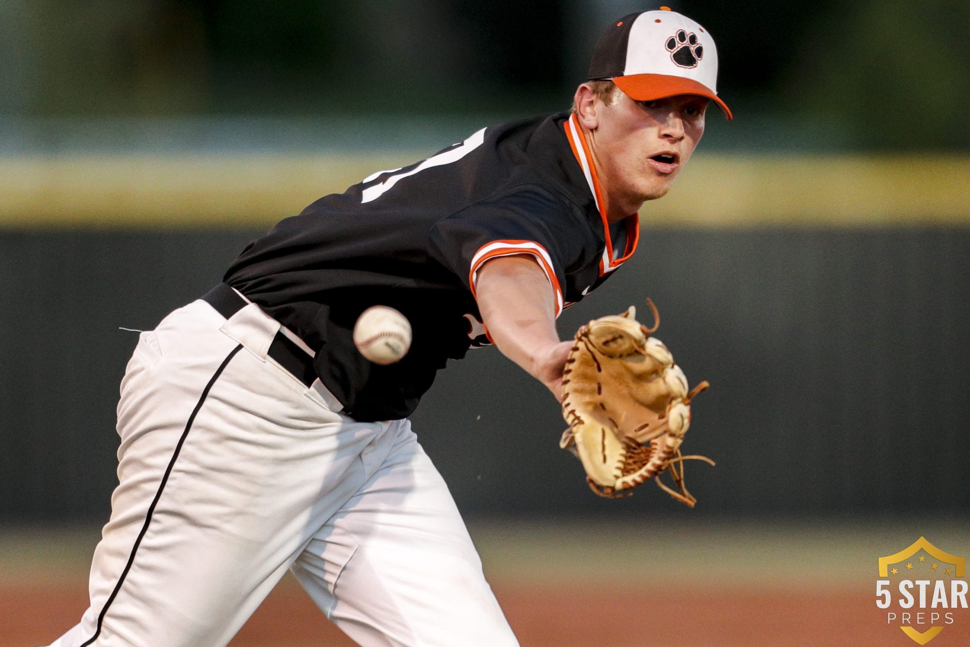 5STAR PHOTOS: Sevier County at Powell baseball (Thursday, April 22 ...