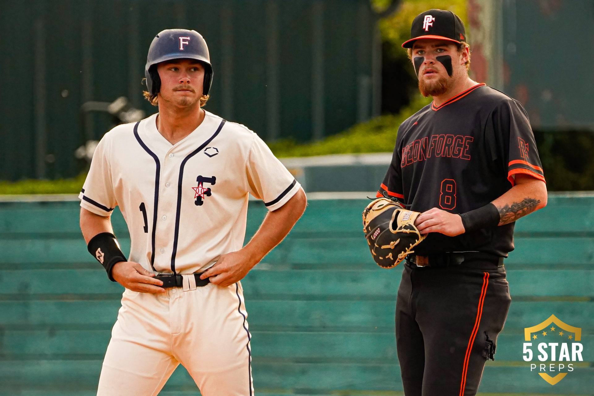 5STAR PHOTOS: Pigeon Forge at Farragut baseball - Thursday, April 28 ...