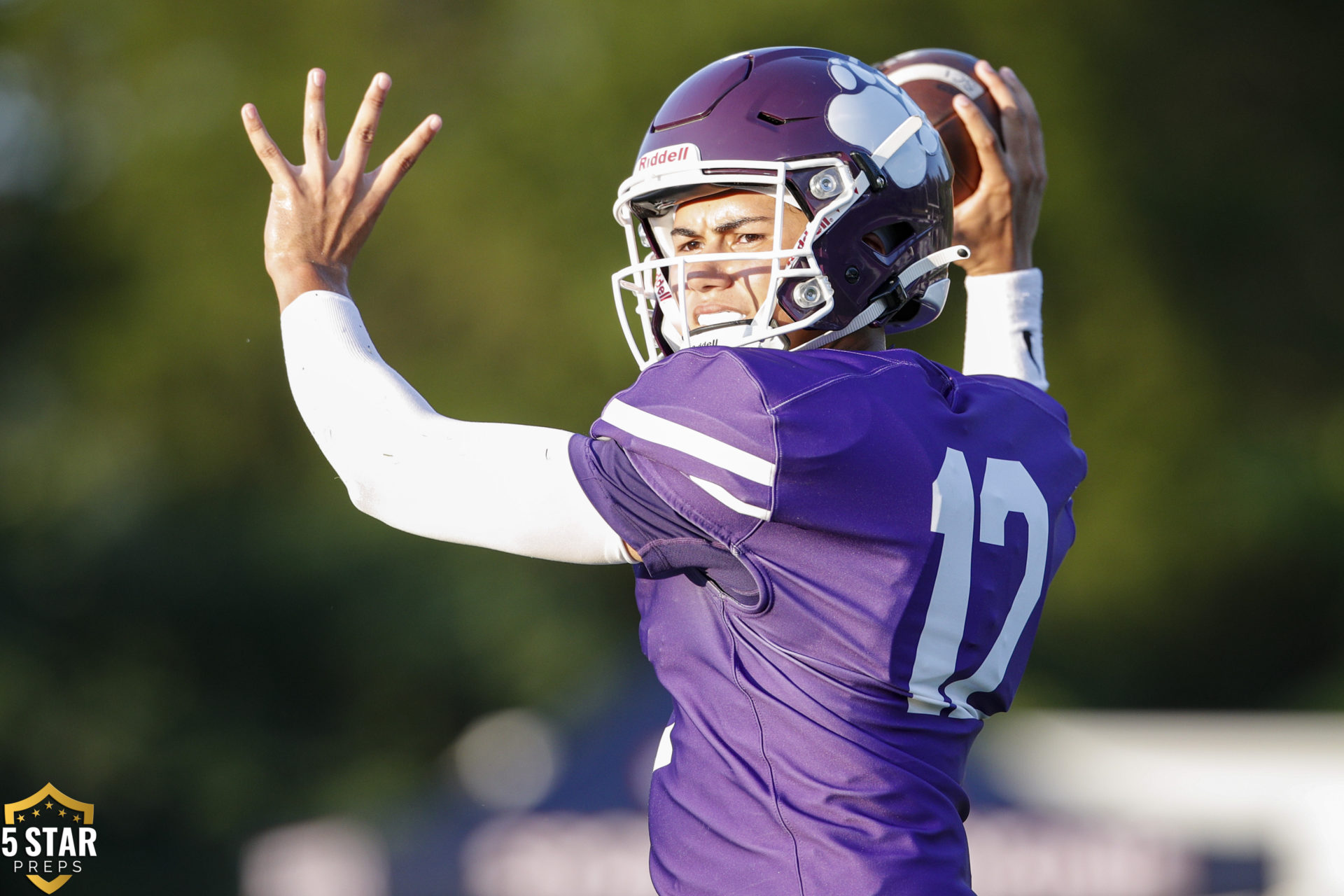 7v7 REPORT: Sevier County Smoky Bears, Farragut Admirals, Central ...