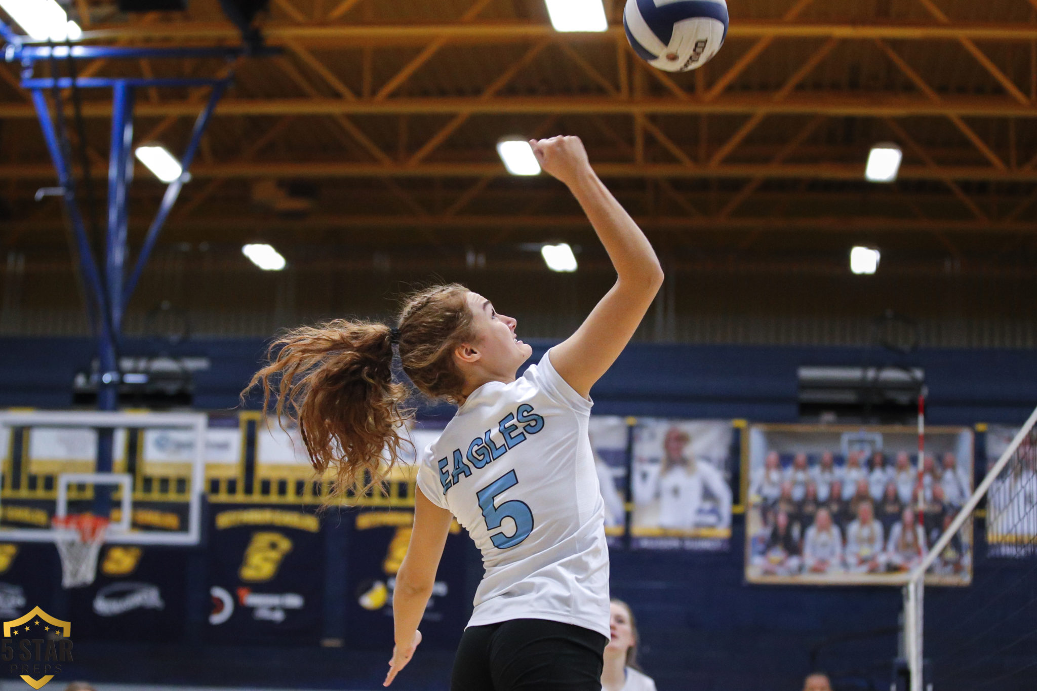 5STAR PHOTOS: Region 2-AA Volleyball Championship Match: Gibbs Eagles ...