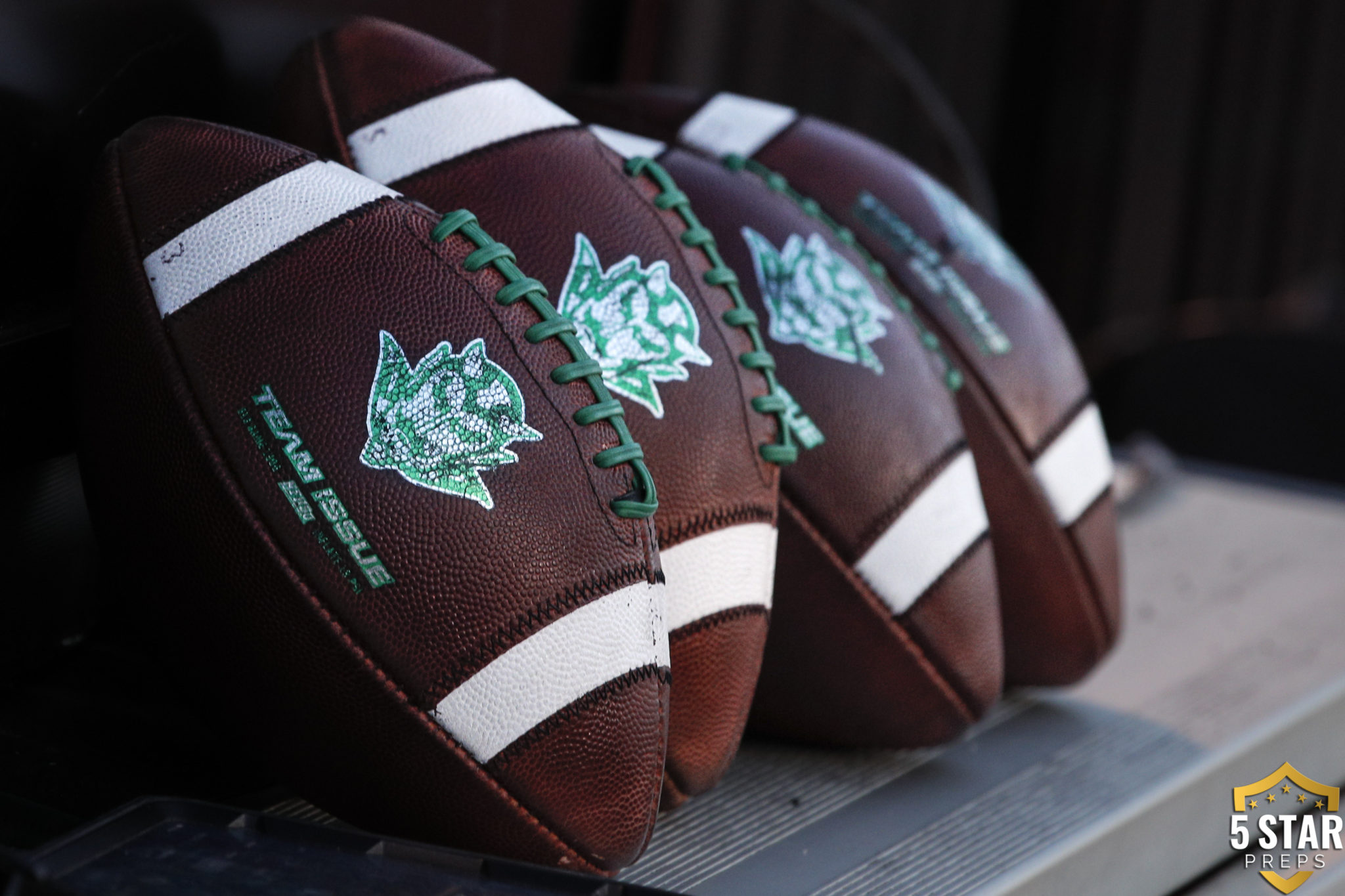 5STAR PHOTOS: Greeneville Greene Devils at Oak Ridge Wildcats - Week 8 ...