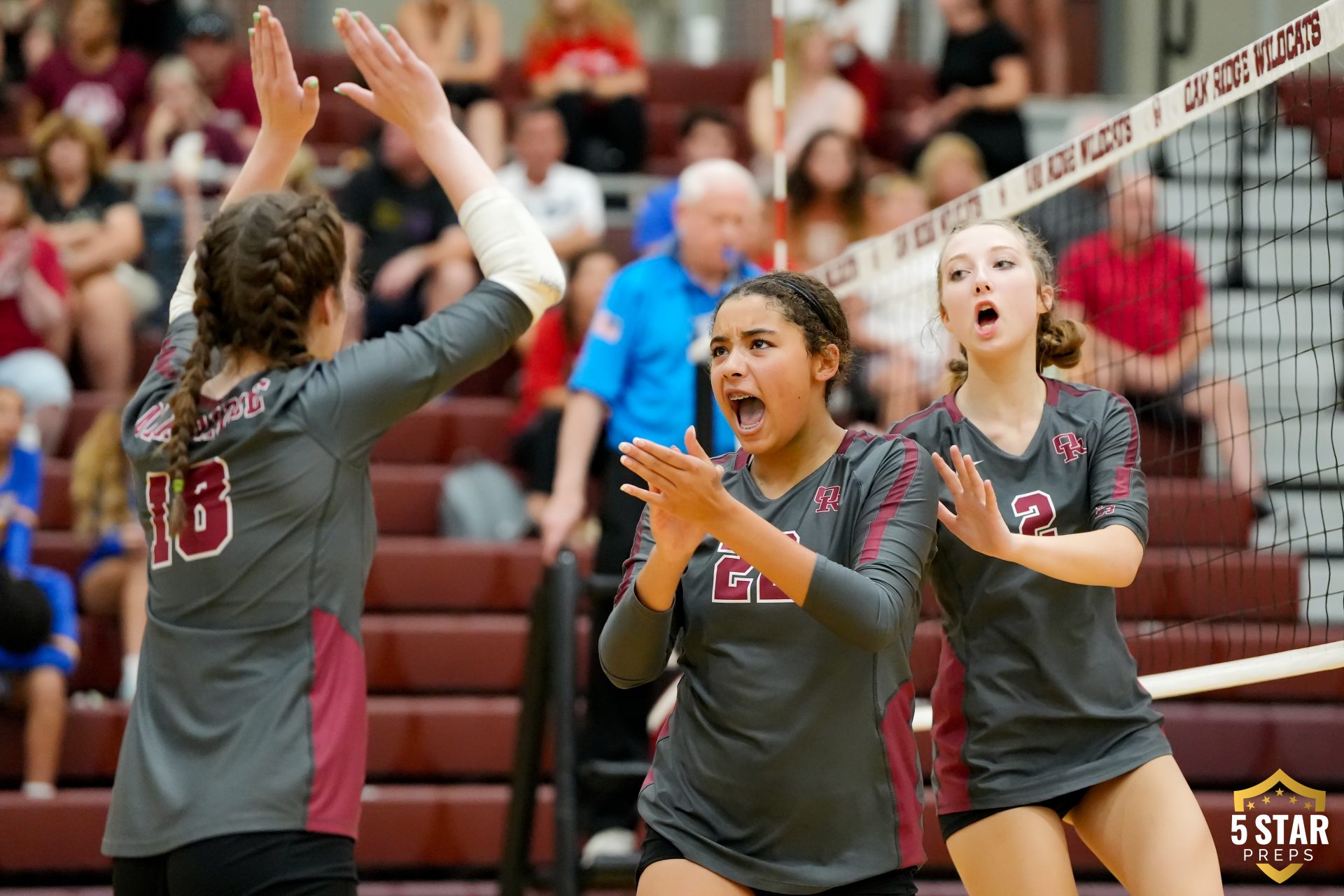 Oak Ridge Volleyball gets District 3-AAA win over Halls as Lady ...