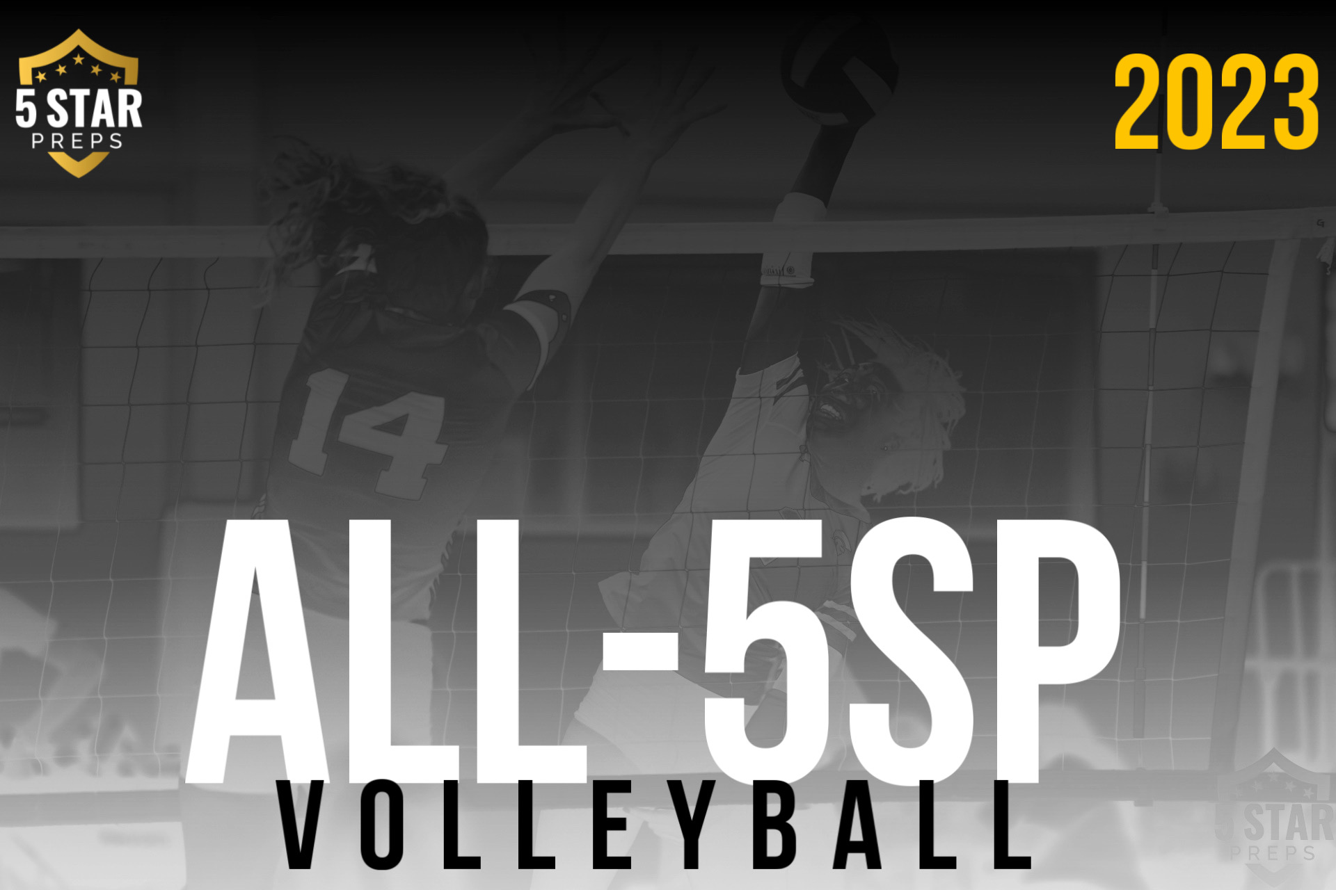 All-5Star Preps Volleyball Teams for the 2023 Season - Five Star Preps
