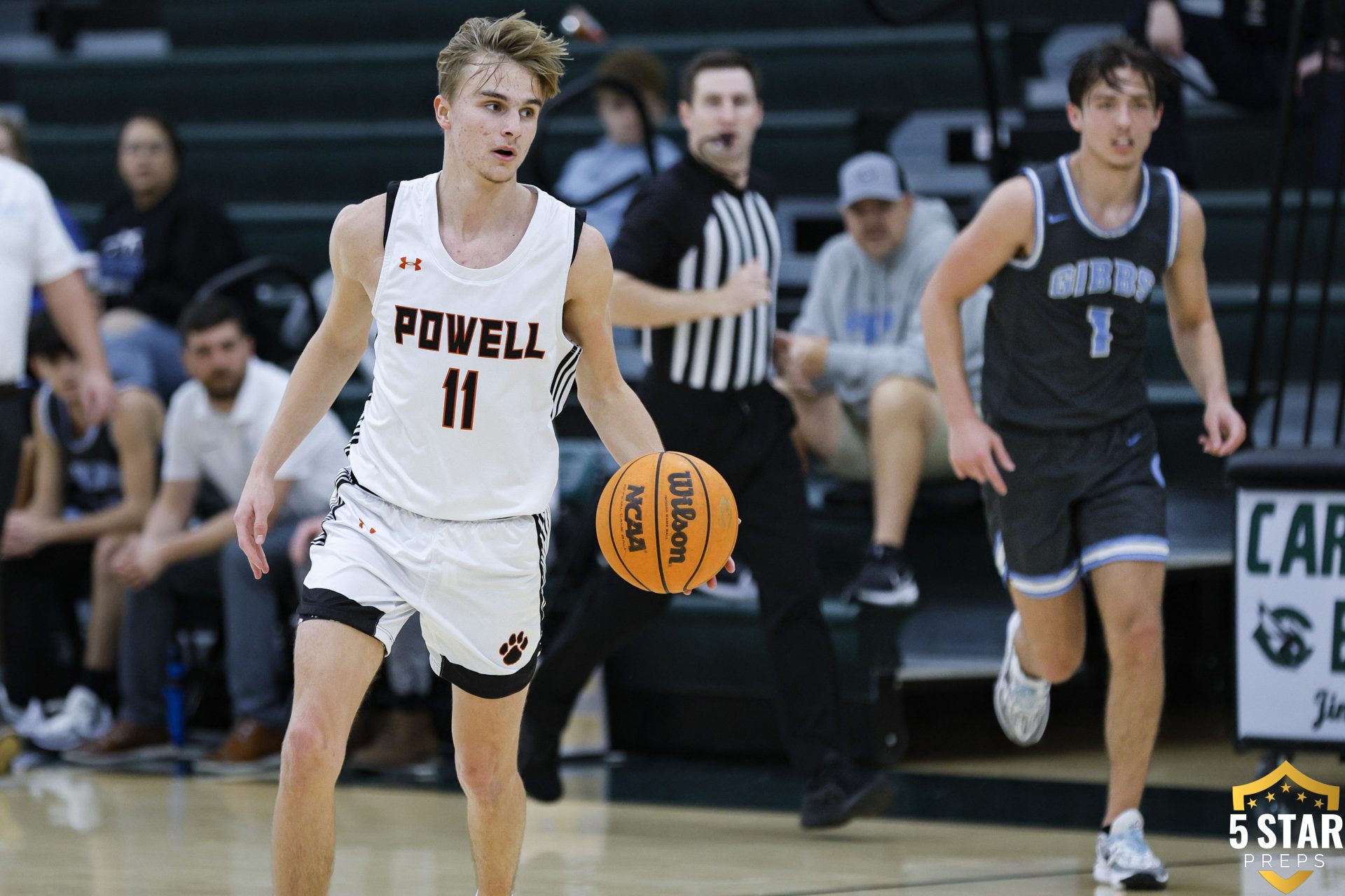 Powell Panthers boys basketball (13-1) off to best start in more than a ...