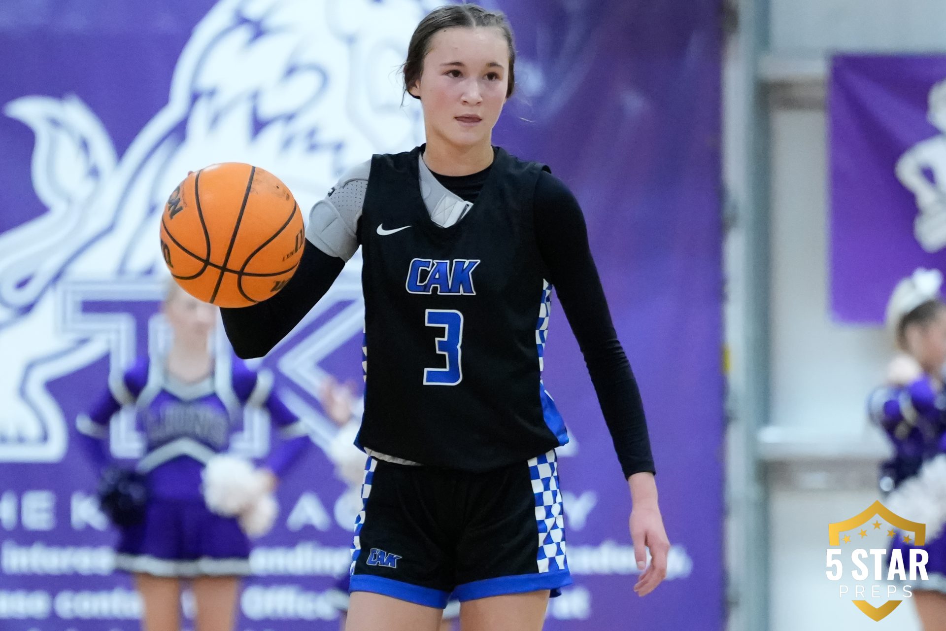 FRIDAY'S BEST: 2024 Postseason Basketball Standouts and Top Wins ...