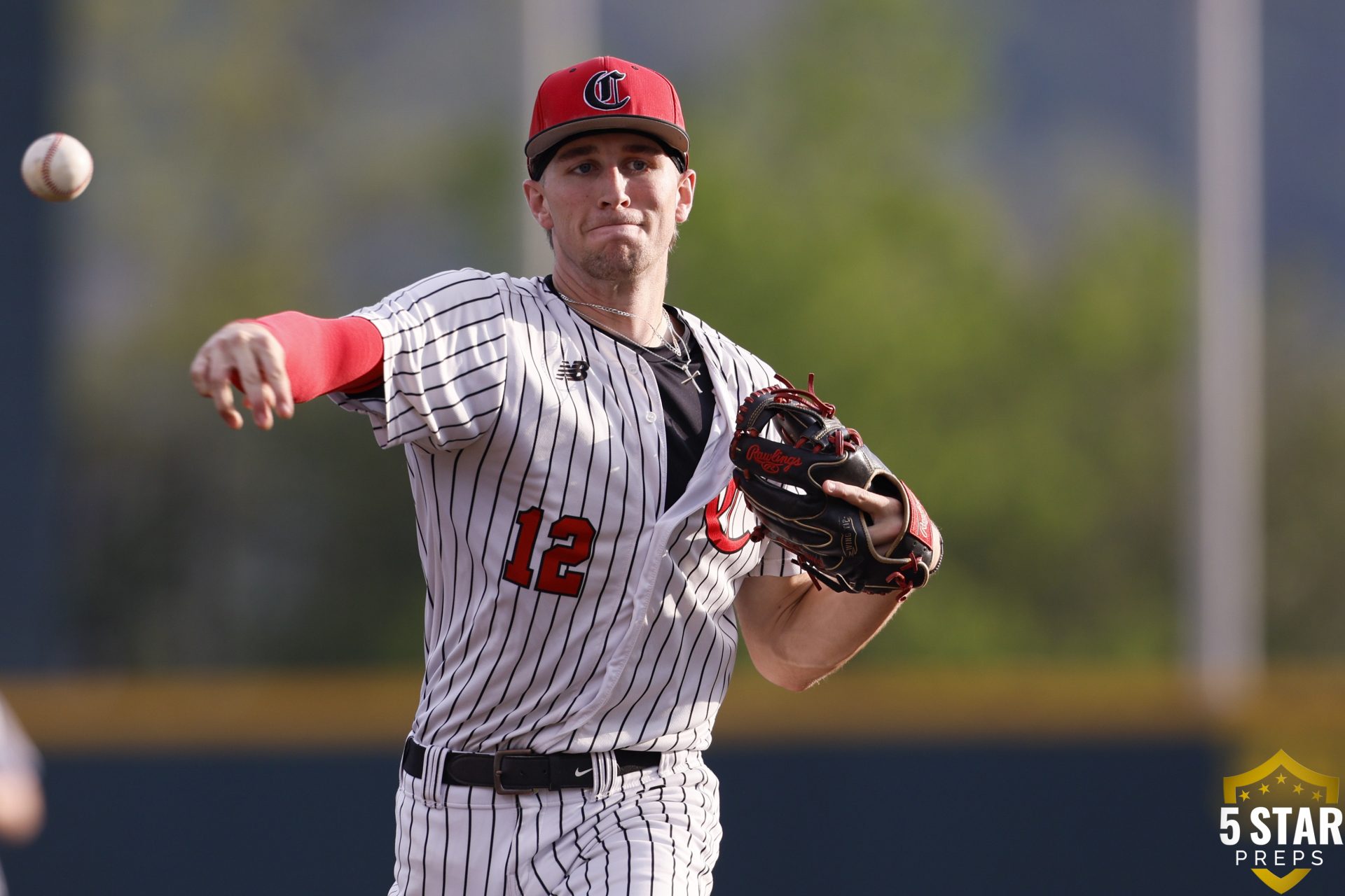 Central RHP Andrew Hill throws gem, shuts out Halls at Lindsey Nelson ...