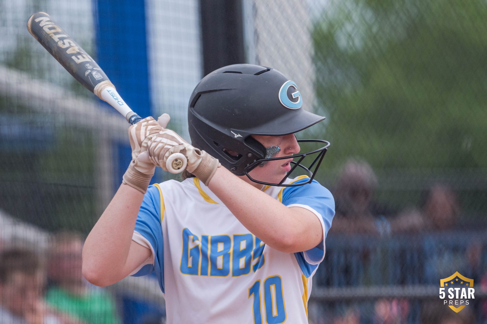 Gibbs Lady Eagles win 3-0 over Creek Wood to secure spot in Class 3A ...