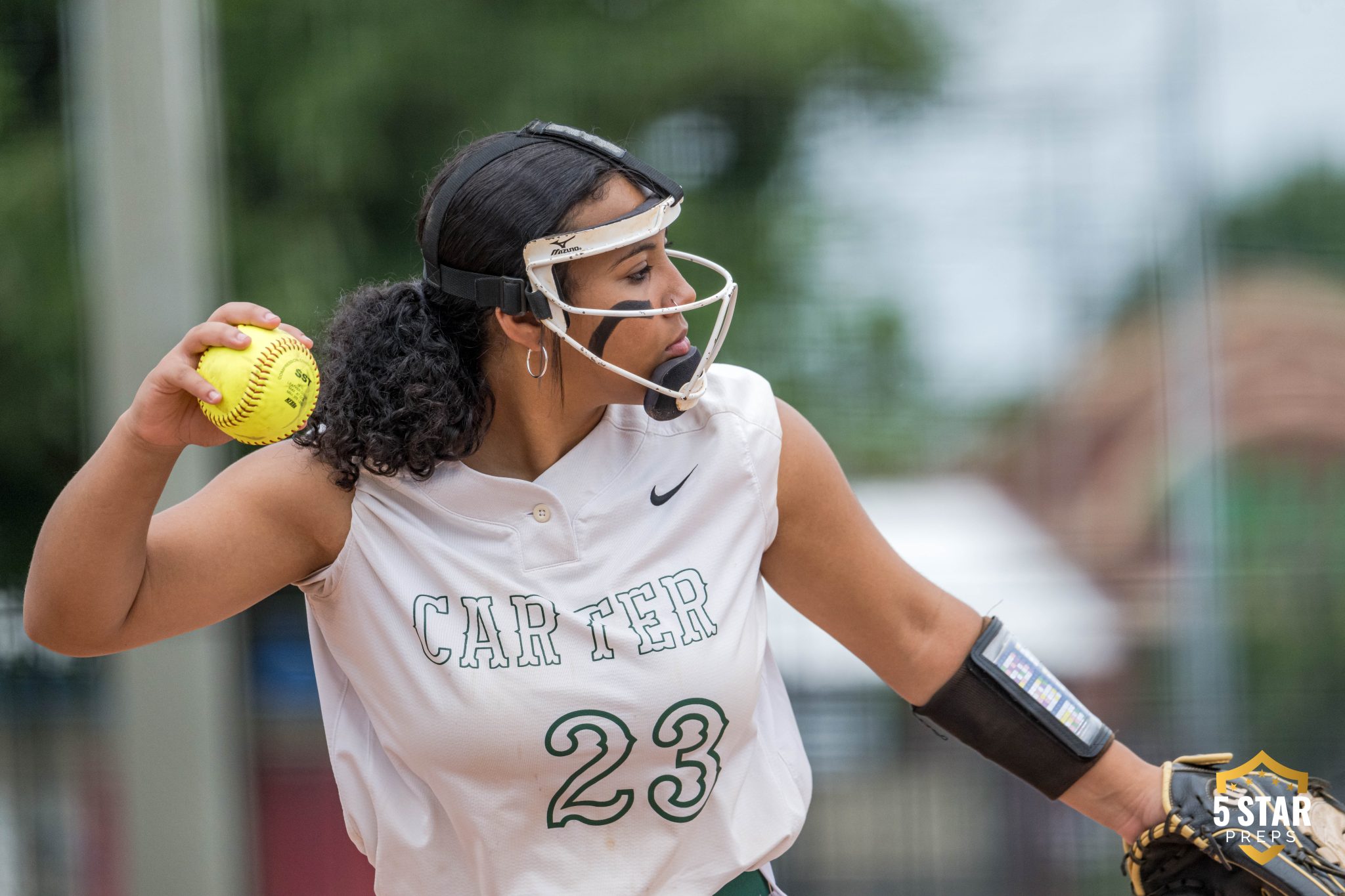 Carter Softball, Gibbs Softball both off to 2-0 Starts in 2024 Class 3A ...
