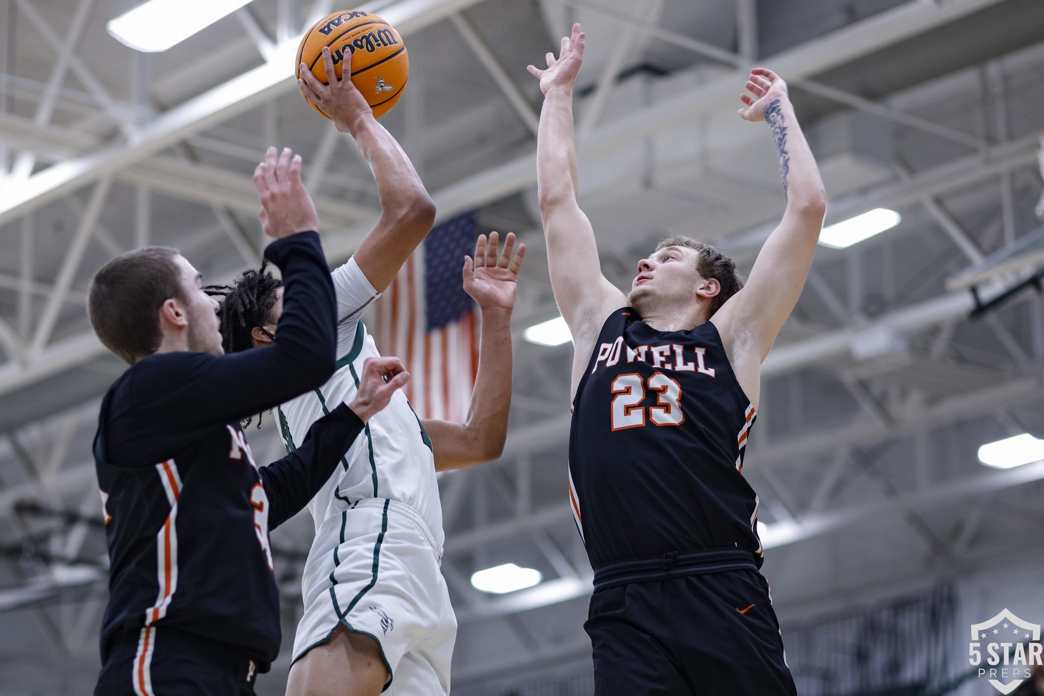 5STAR PHOTOS: Powell Panthers vs. Carter Hornets — Dec. 28, 2024 - Five ...