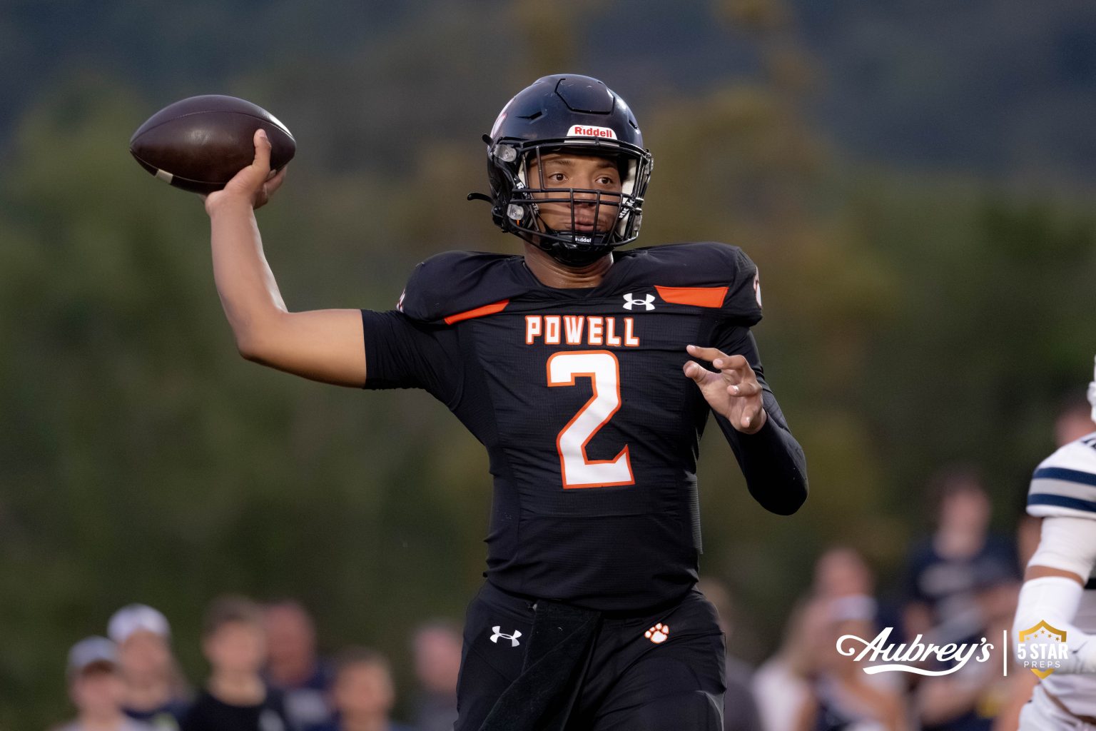 QUICK READ: Rodgers returns to lead Powell past Halls, 32-13, on ...